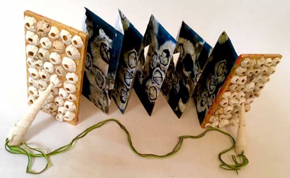 2019 Rotunda Exhibition – Santa Fe Book Arts Group