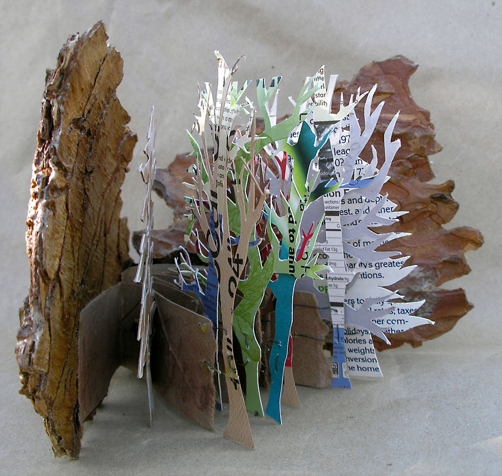 Trashing the Trees by Kim Burkholder – Santa Fe Book Arts Group